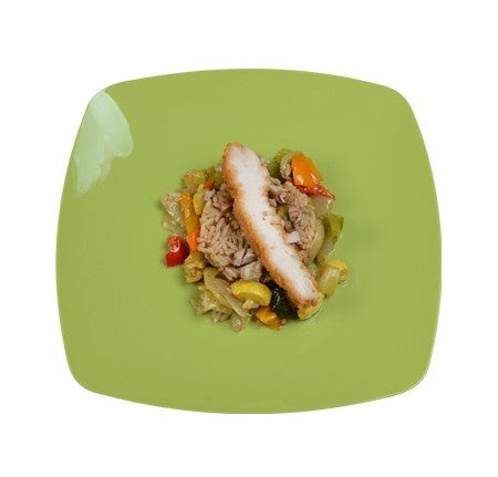 10 Pack 10" Square Plastic Green Dinner Plates – Decodine
